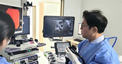 췌장 낭종 일부는 암으로 자란다꼭 추적 검사를