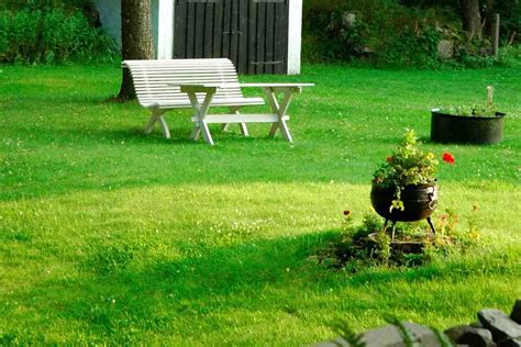 How To Fix An Uneven Lawn Complete Guide