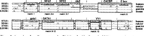 Figure 2 From A Database For Globin Gene Expression Data Semantic Scholar