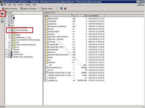 How To Archive Files Using A Netbackup Policy Windows Bar Gui Settlersoman A Settler In The