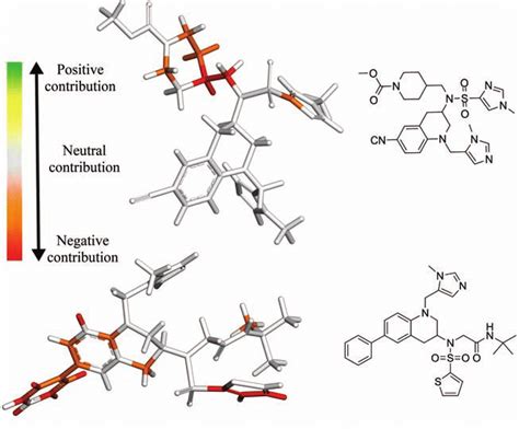 Hqsar Contribution Map And The Corresponding 2d Chemical Structure For
