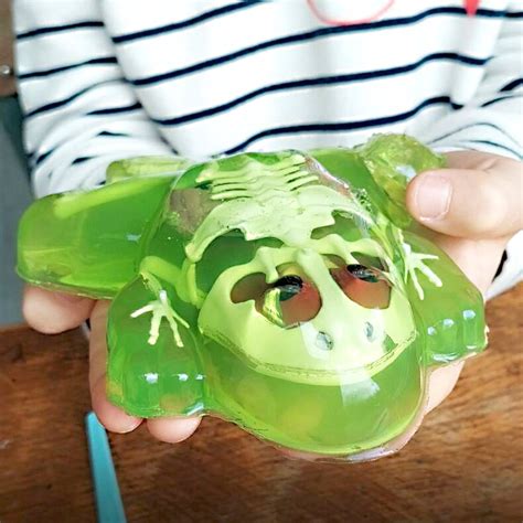 Dissect It Anatomy Kit Super Lab Frog Smyths Toys Uk