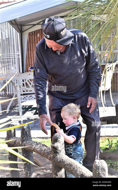 Great Grandpa And Grandson Stock Photo Alamy