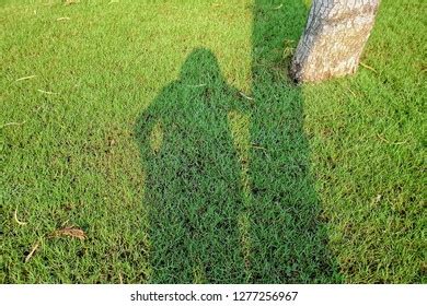 491 Tree Trunk As A Human Legs Images Stock Photos Vectors Shutterstock