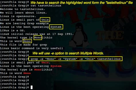 Grep Two Words Tommain