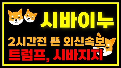 시바이누 코인 2시간전 뜬 외신속보 트럼프 Shib 지지 언급 시바이누 시바이누코인 파이 비트토렌트 리플
