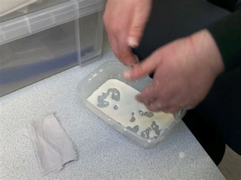 Y4 Science Non Newtonian Liquids St Georges C Of E Primary School