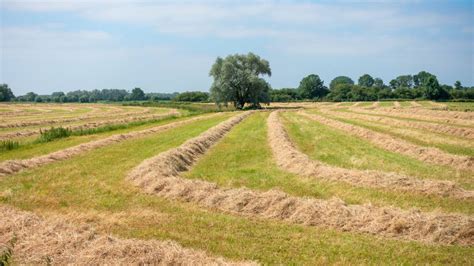 Hay Bale Squeezes For Bale Stack Moving Norden Mfg