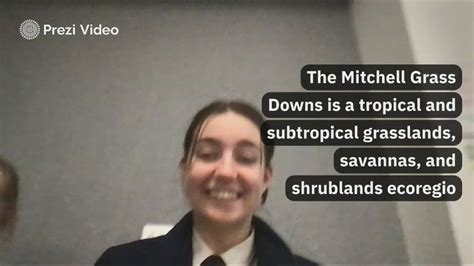 The Mitchell Grass Downs Is A Tropical And Subtropical Grasslands