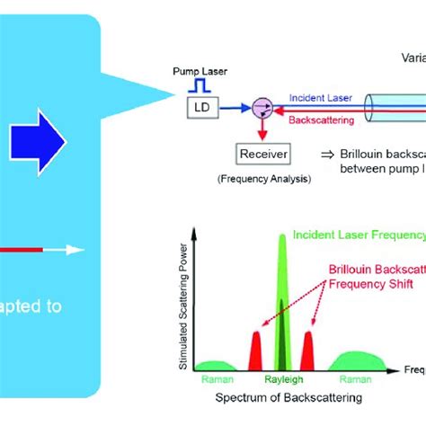 Schematic Diagram Of The Botda Download Scientific Diagram