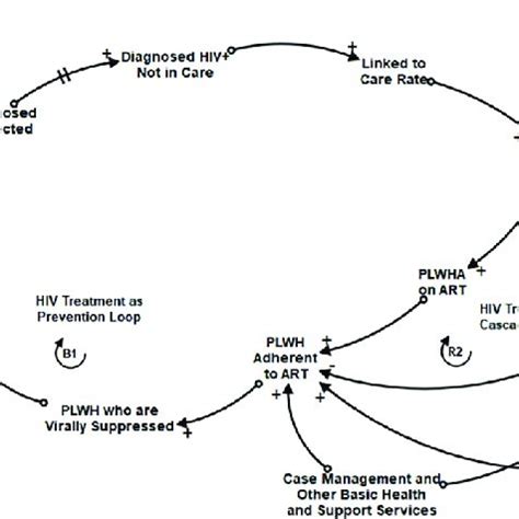 Causal Loop Diagram HIV Treatment As Prevention This CLD Shows Two Download Scientific