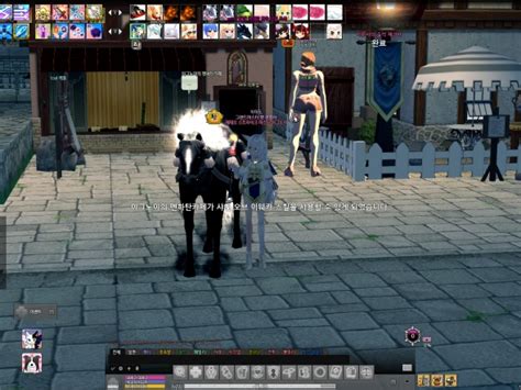 마비노기 펫 이름 한참 고민했다 유머 게시판