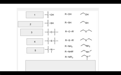 Chem II Functional Groups Flashcards Quizlet