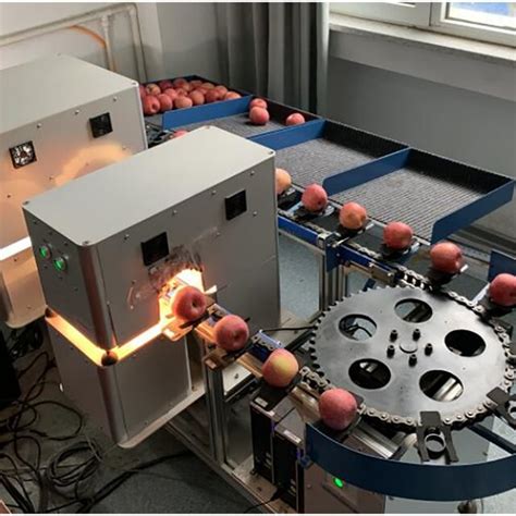 Equipment Of The Automatic Apple Grading And Sorting System Download Scientific Diagram
