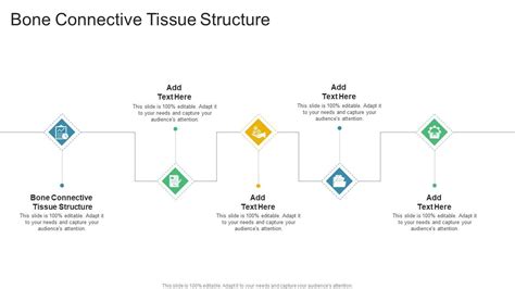 Bone Connective Tissue Structure In Powerpoint And Google Slides Cpb