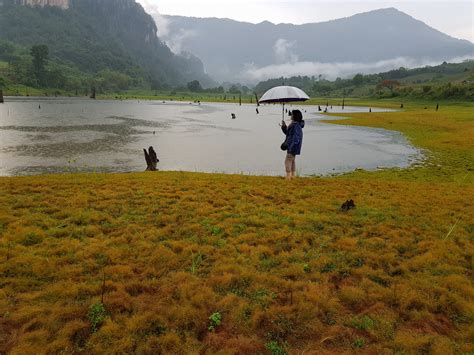 ก่อนถึงอช ถ้าสะเกินมีอ่างเก็บน้ำใกล้ๆหมู เสน่ห์น่านวันนี้