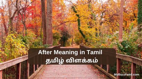 Aesthetic Meaning In Tamil தமிழ் விளக்கம் Mybuzzfeed