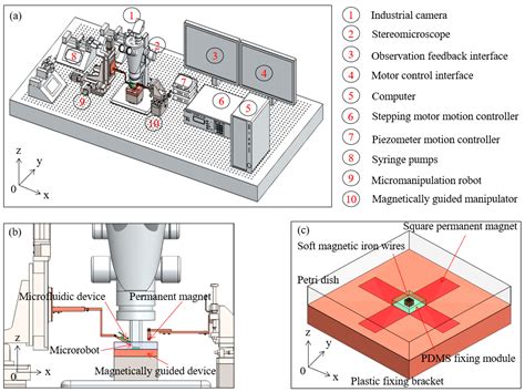 Magnetically Guided Micromanipulation Of Magnetic Microrobots For Accurate Creation Of Artistic