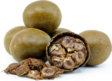 Monk Fruit Information And Facts
