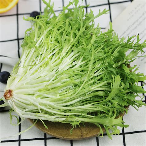 苦菊250g 新鲜苦叶苦苣苦菜生菜 沙拉菜 淘宝网
