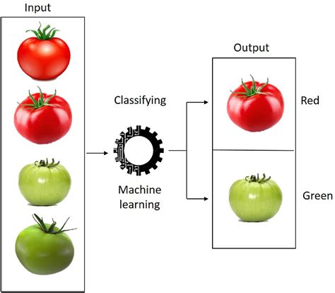 Field Grown Tomato Yield Estimation Using Point Cloud Segmentation With