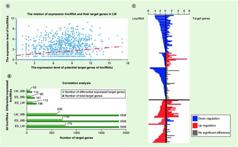 The Relationship Between Expression Of Long Intergenic Noncoding Rna Download Scientific
