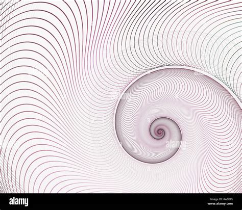 Fibonacci Spiral Fractal
