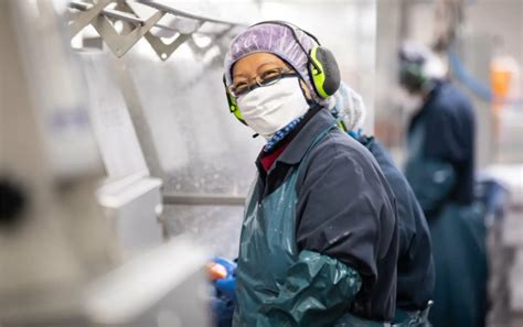 Seafood Processing With Standards