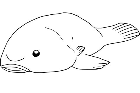 Blobfish Coloring Page