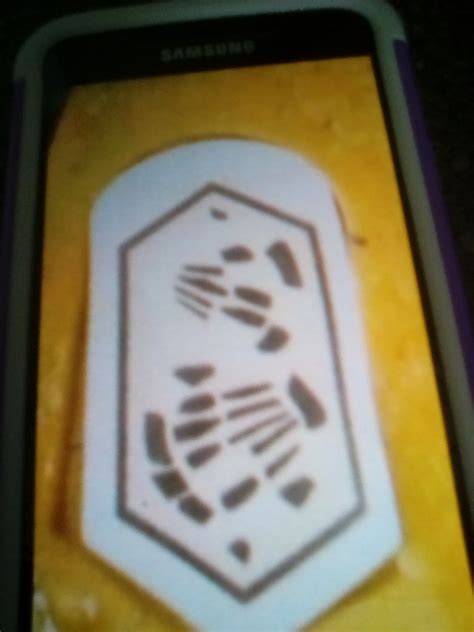 Jurassic World Facts Scan Code At Joan Ruhl Blog