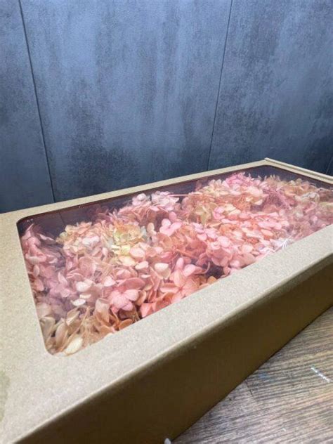 ᐉ Стабілізовані квіти в Києві купити в Епіцентр К • Ціна в Україні