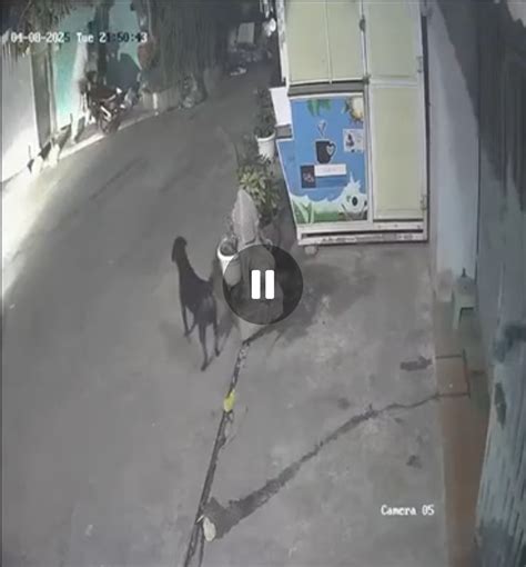 Top News ដេញបុកគេ ទាំងខ្លួនស្រវឹង មិនអស់ចិត្ត ចុះពីឡានវាយគេថែមទៀត ចុងក្រោយដឹងមូលហេតុ