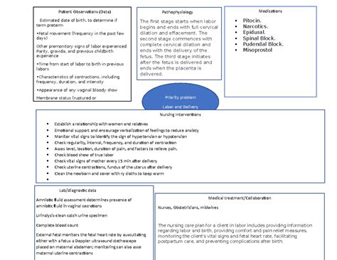 Concept Map Labor And Delivery Patient Observations Data Estimated Date Of Birth To