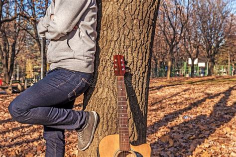 139 Guitar Leaning Tree Stock Photos Free Royalty Free Stock Photos From Dreamstime