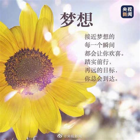今天是国际幸福日传递身边的幸福