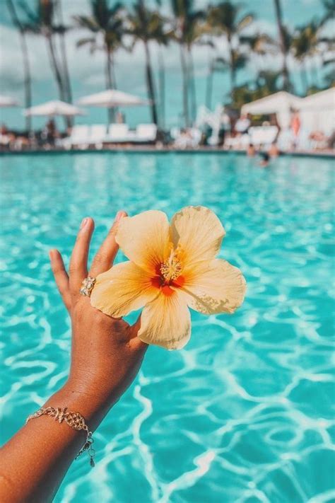 Aesthetic Summer Vibes Afbeeldingen Wallpapers And Quotes Mamaliefde Nl Paysage Images