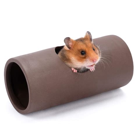 Buy NiteangelCeramic Hamster Tunnel Tubes Hideout For Dwarf Robo