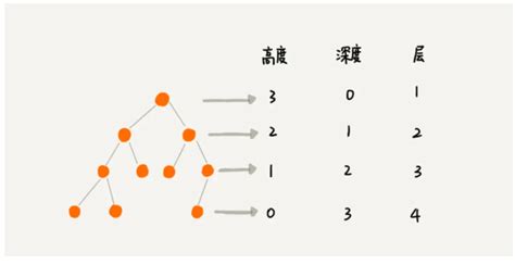 数据结构 树结构 阿里云开发者社区