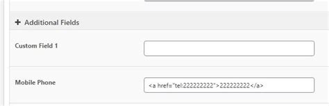 How To Add Additional Custom Fields In Super Store Finder For Wordpress Super Store Finder