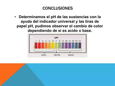 Propiedades De Los ácidos Y Las Bases Ppt