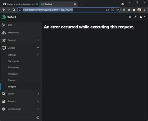 Unable To See The Dropdown Values Of Widget In Decouple Cms · Issue 10592 · Orchardcms