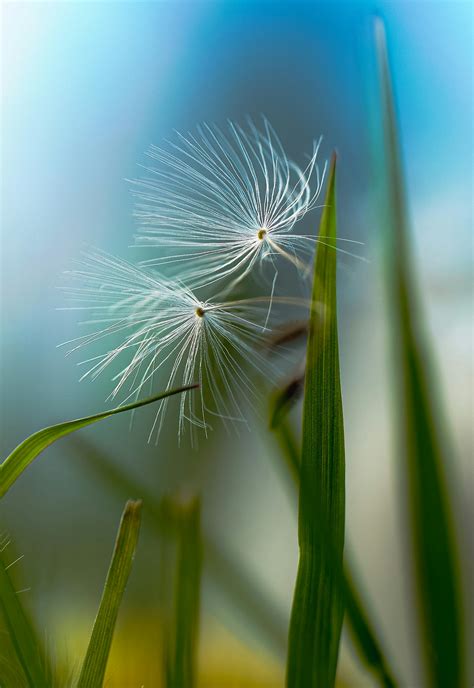 Tornado Background Photos Download The Best Free Tornado Background