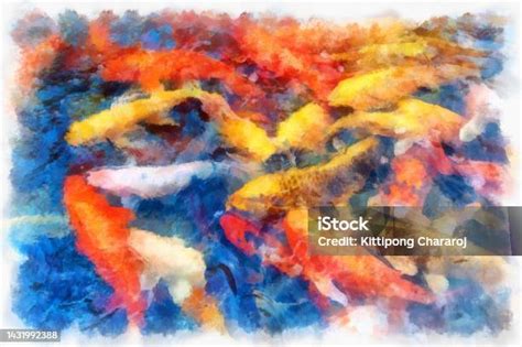 연못 수채화 스타일 일러스트 인상파 그림에있는 잉어 물고기 그룹 0명에 대한 스톡 벡터 아트 및 기타 이미지 0명 디자인 모던 양식 Istock