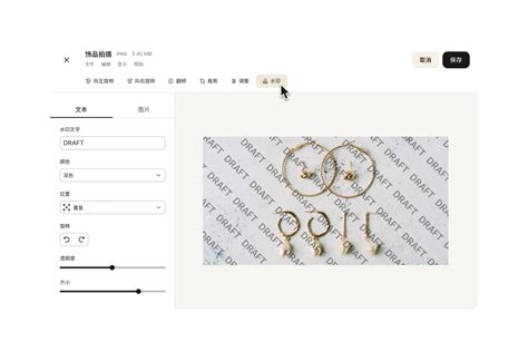 适合专业人士的 Dropbox Essentials Dropbox