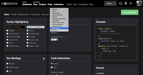 new coding fonts dank mono and gintronic codepen blog