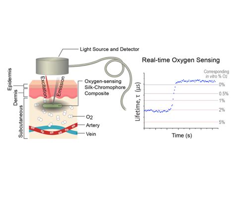 Glowing Silk Tattoos Measure Blood Oxygen In The Body