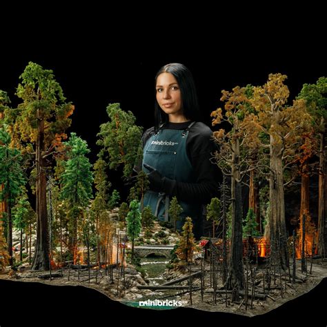 Museum Model Of A Large Wildfire In The Sequoia National Forest