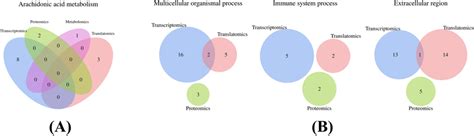 Transcriptomics Translatomics Proteomics And Metabolomics Enrichment