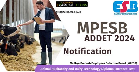 Mp Tet Varg 1 2024 Notification Exam Dates Syllabus Books