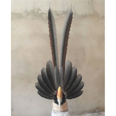 Jual Topi Adat Dayak Bulu Ruai Topi Enggang Dayak Topi Dayak Full